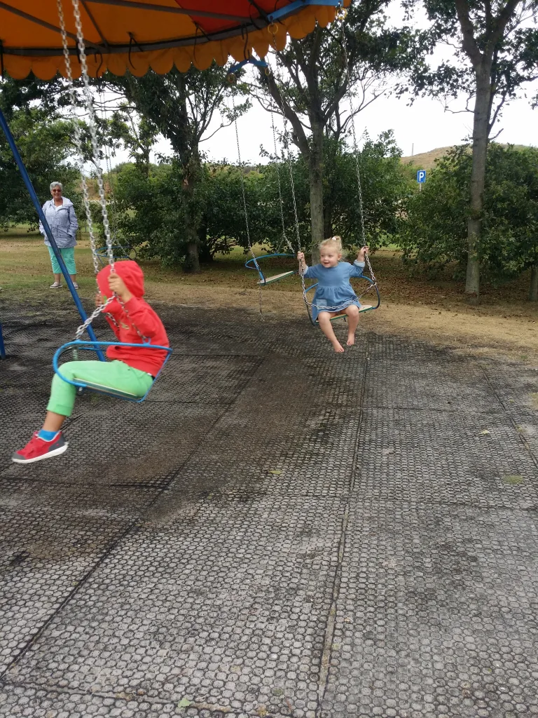 Speelpark de Goudvis - Sint Maartenszee - Kids & Trips