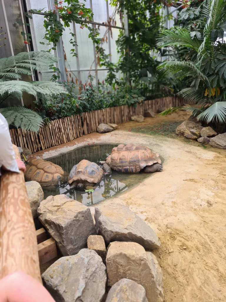 Ouwehands Dierenpark - Kids & Trips